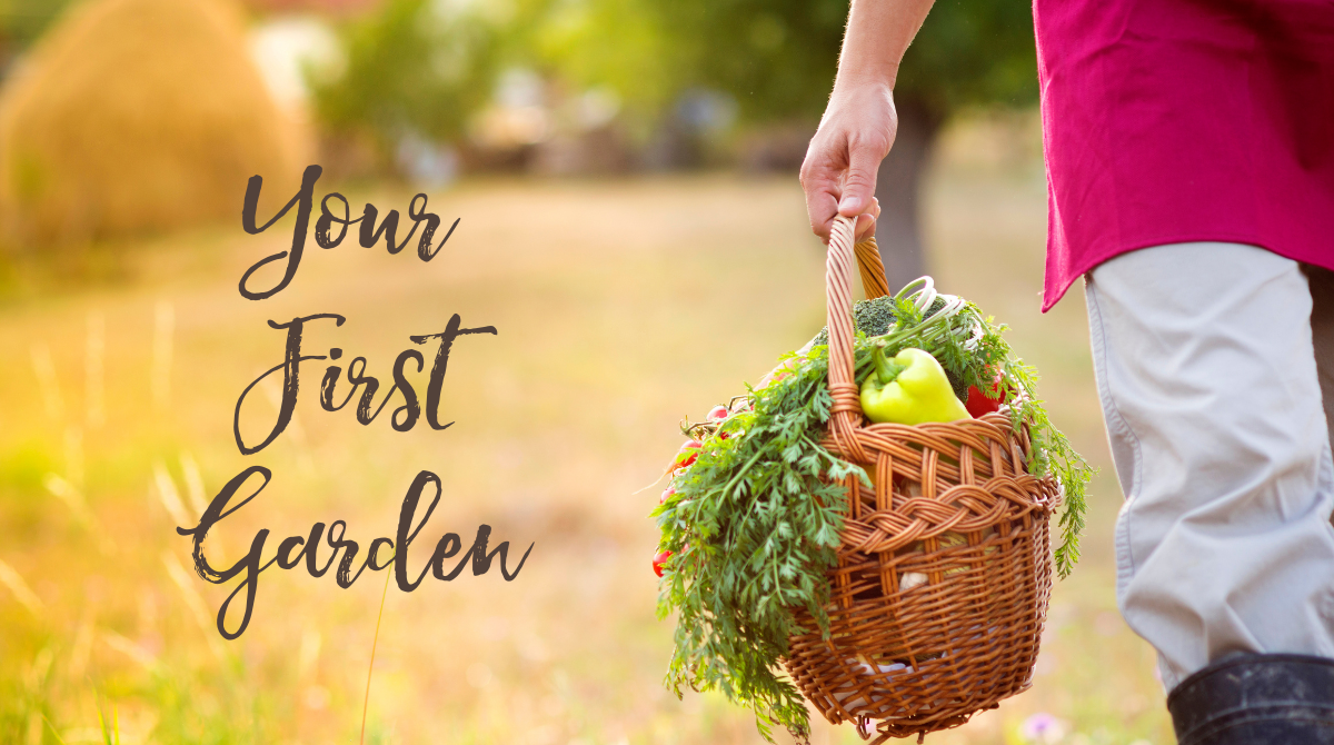 Your First Spring Garden – Tips for Beginners! - Summerfield Custom ...